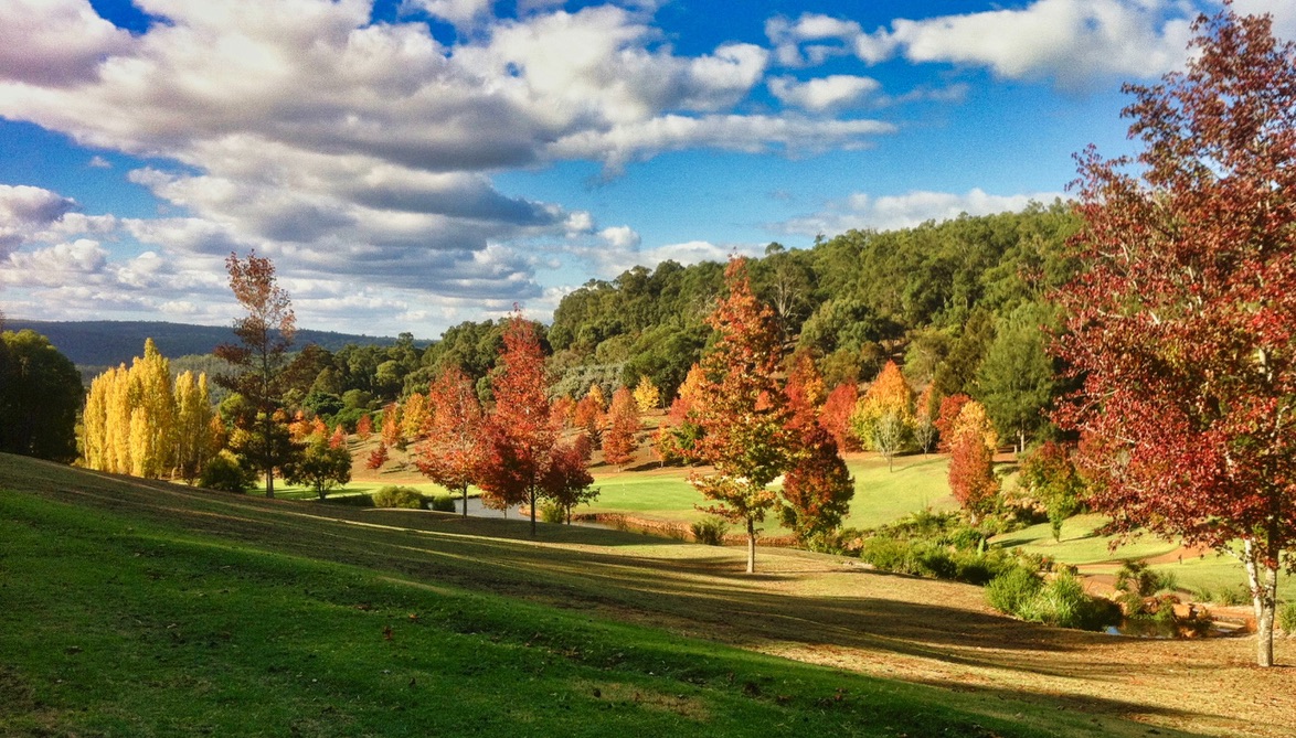 Araluen Estate | Araluen Estate